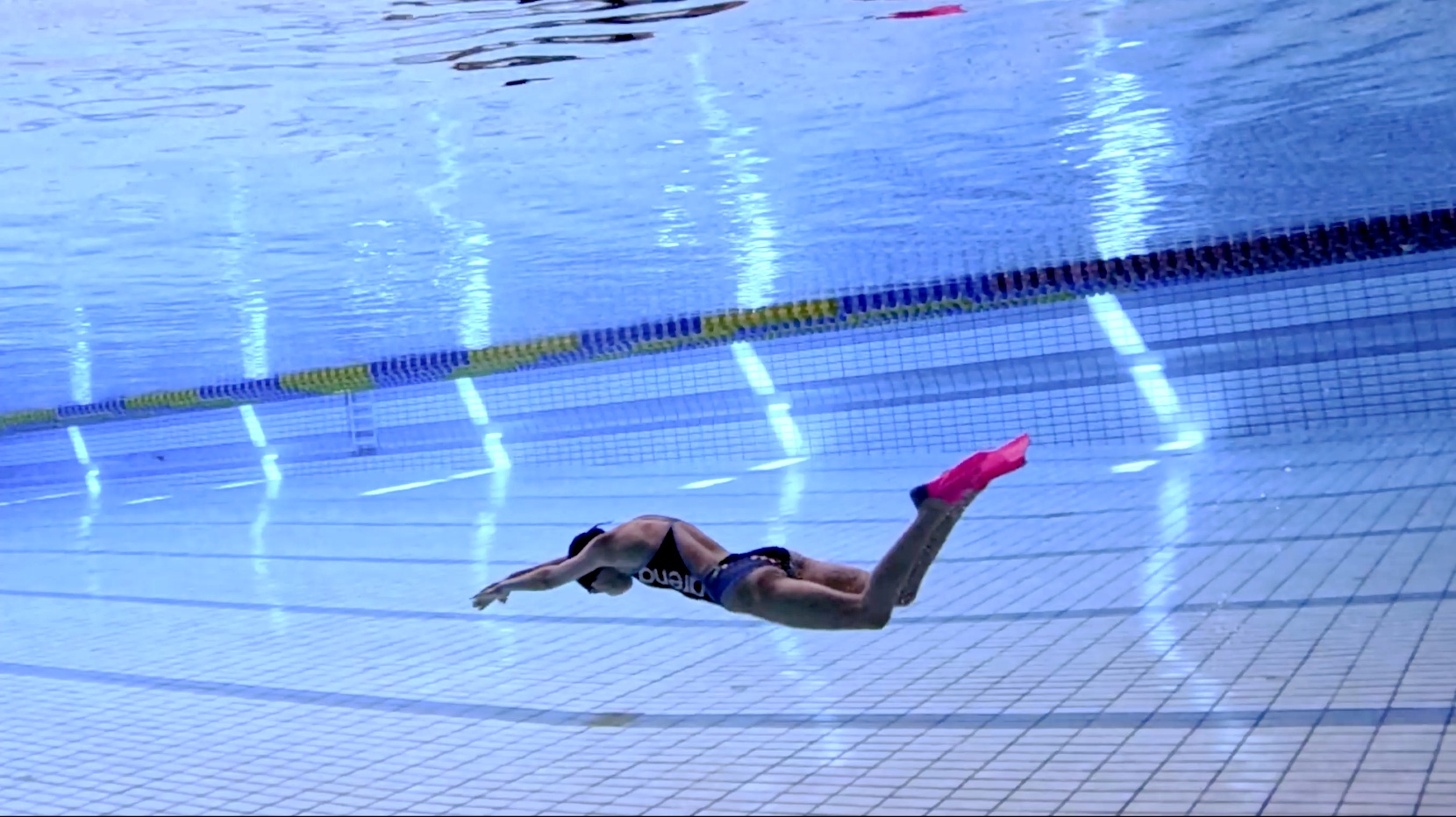 页面标题 williamswim